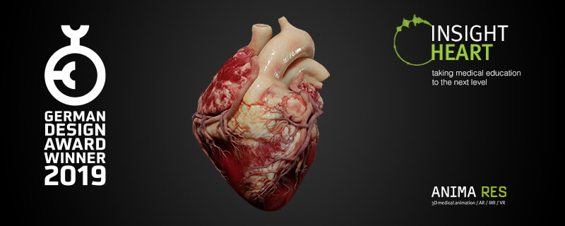 INSIGHT HEART – The human heart expedition – ANIMA RES – 3D medical ...