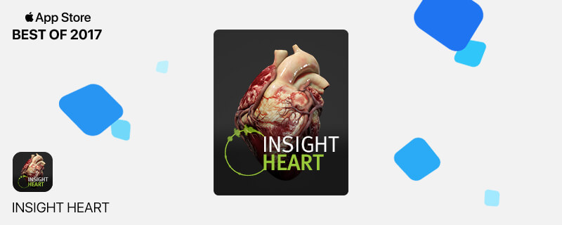 INSIGHT HEART – The human heart expedition – ANIMA RES – 3D medical ...